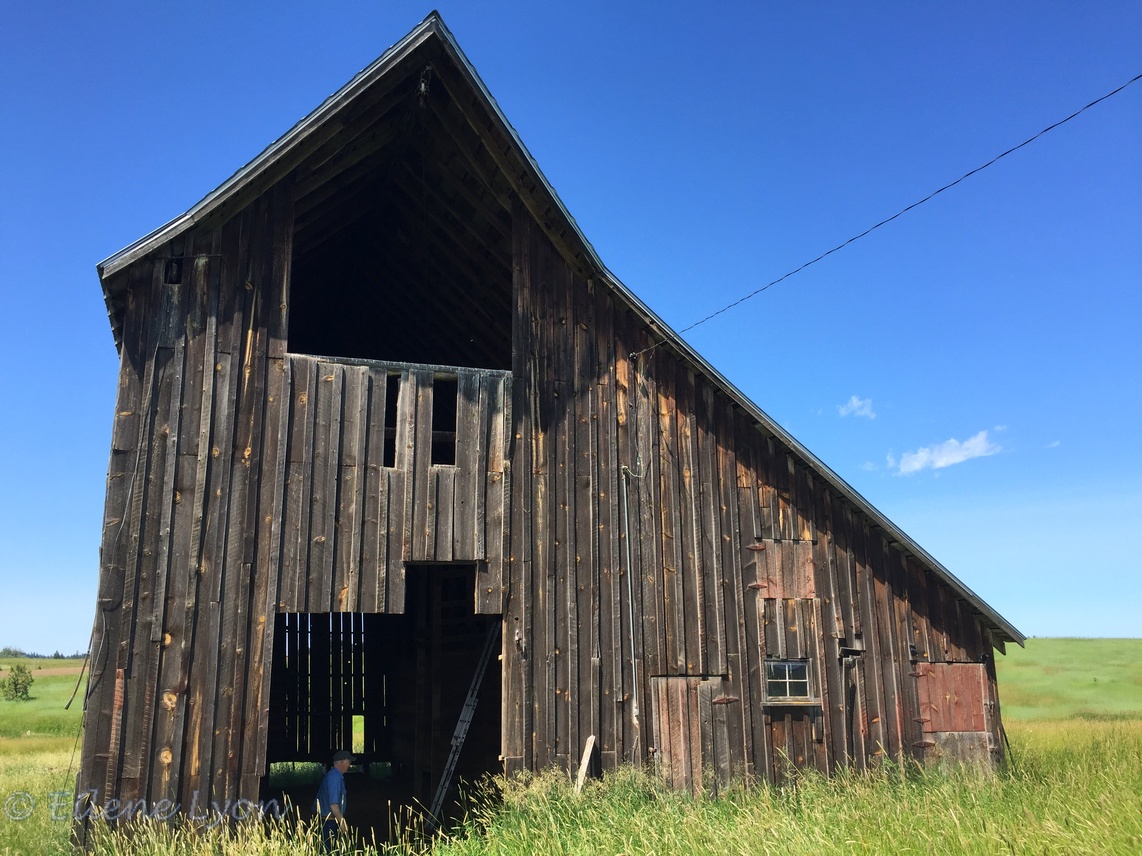 The Davis Homestead – Myricopia