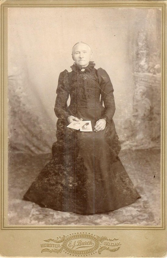 A Widow Perseveres – Myricopia