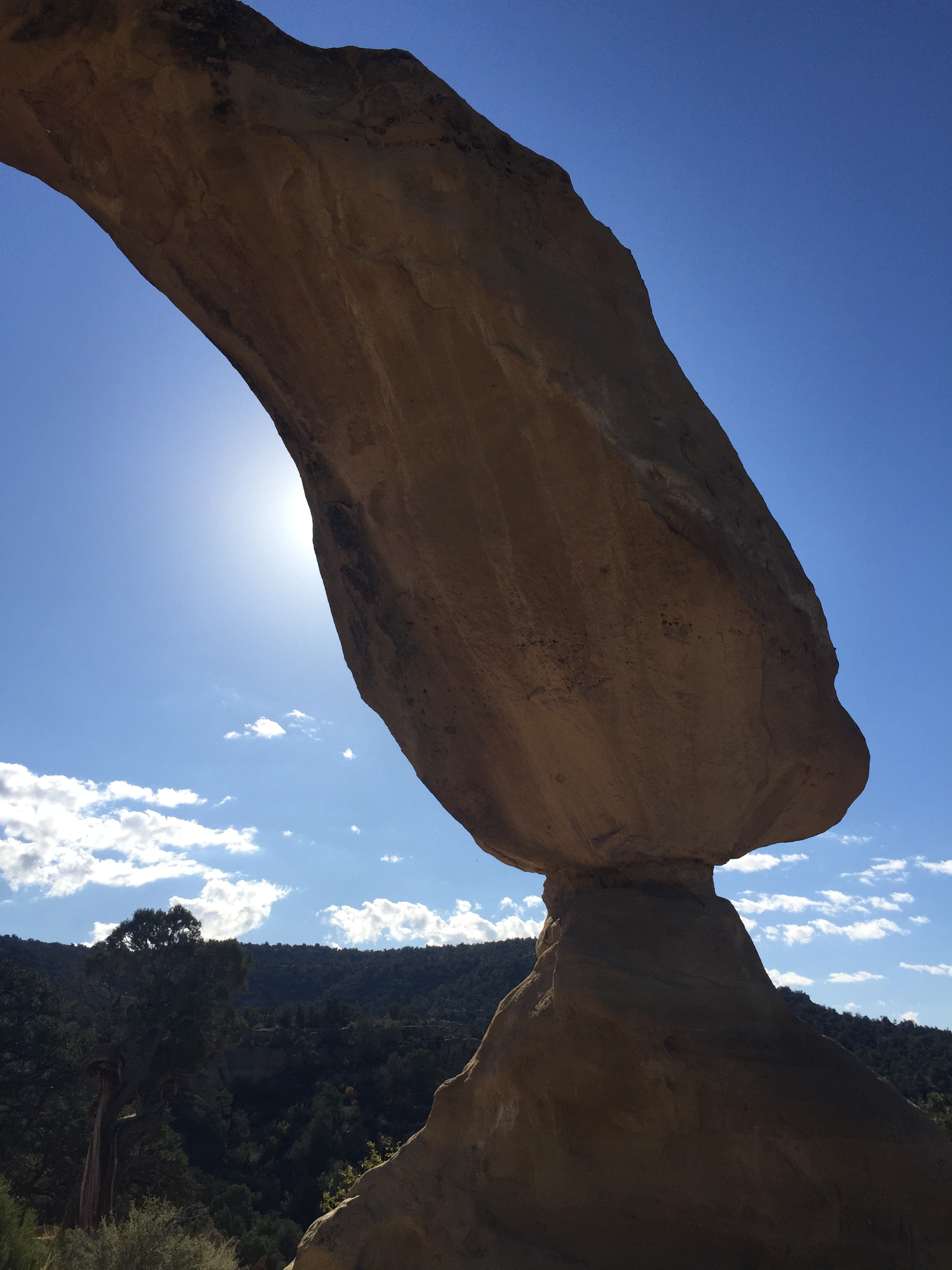 The Aztec Arches – Myricopia