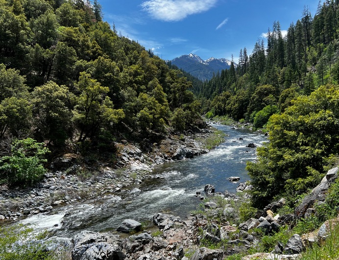 Scott Bar – Then and Now – Myricopia